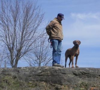 Rhodesian Ridgeback Breeder & Pups For Sale in Indiana | Laid Back Lion ...